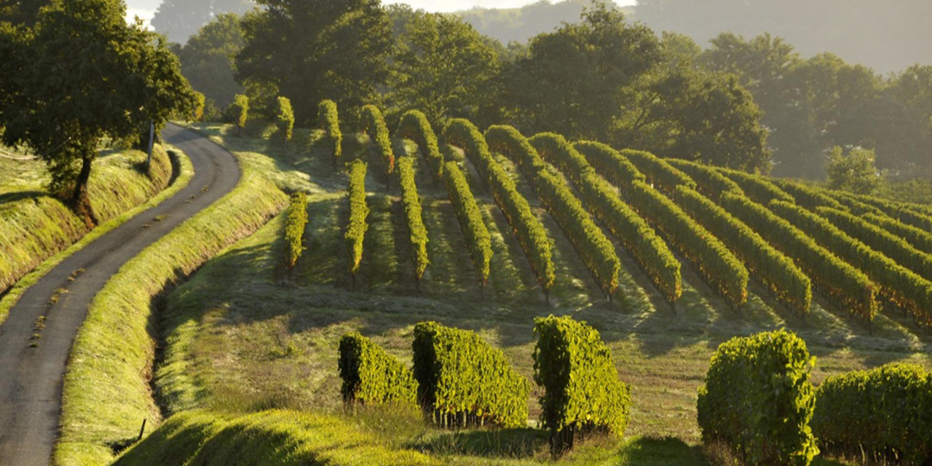 100% local | Mont de Marsan Tourism